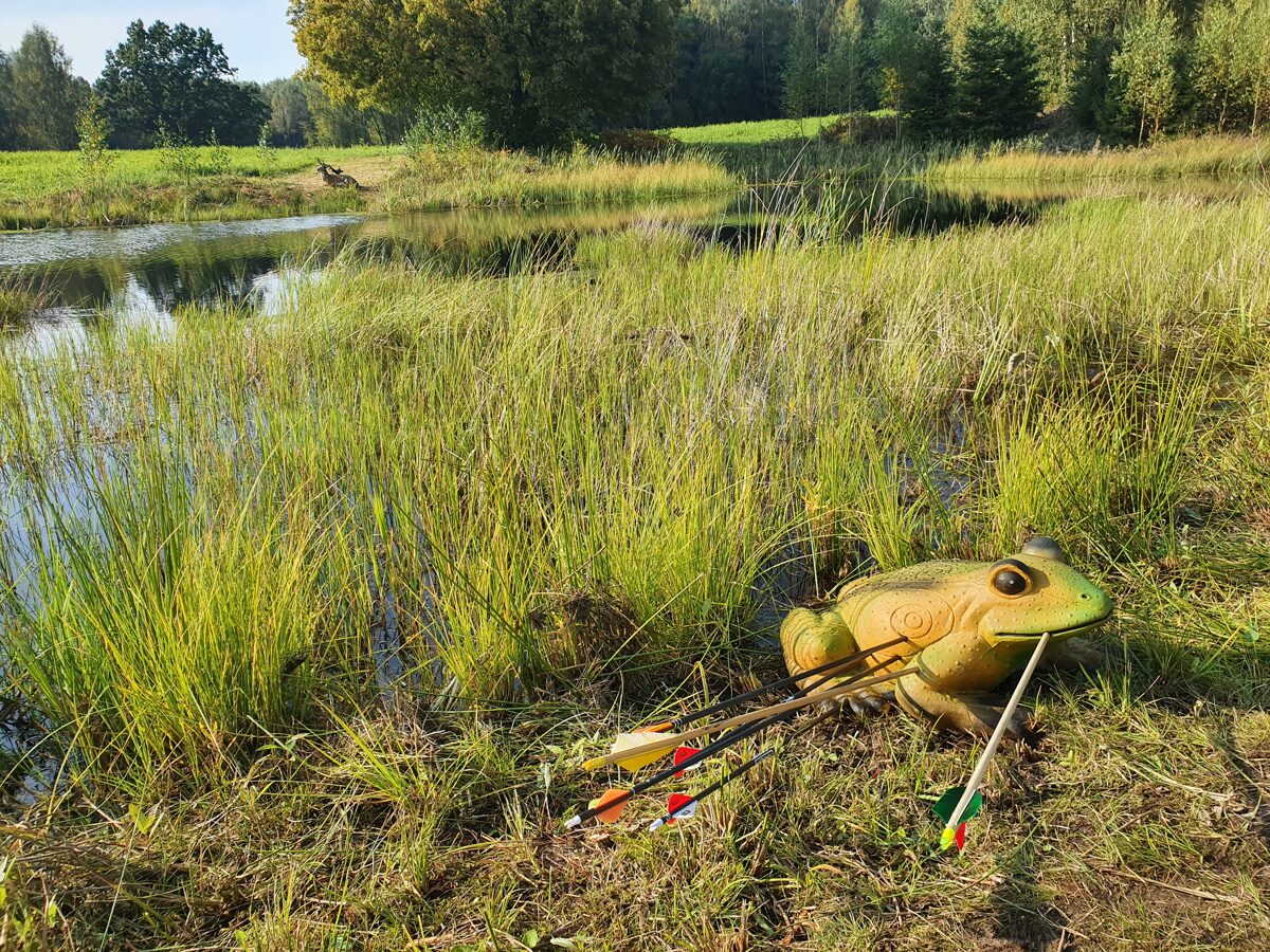 Frog - Catalogue - Archery Animals